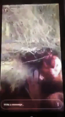 Obdulia Sanchez Wiki